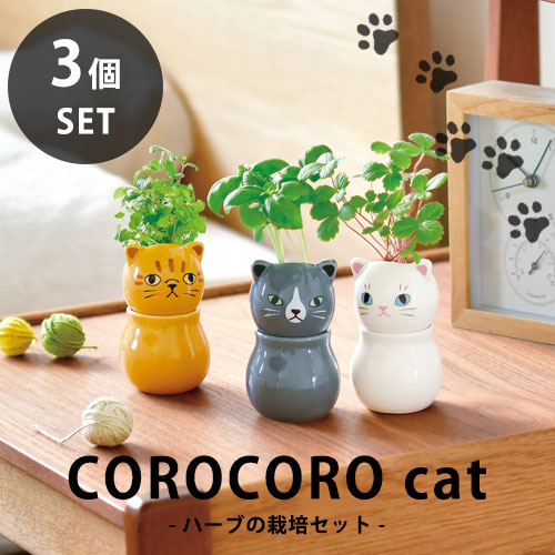 【楽天市場】【送料無料】GD-1026 COROCOROcat 3個セット コロコロキャット ハーブ 栽培セット 猫 聖新陶芸：NOBUMARU
