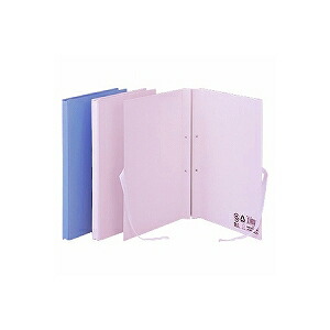 【楽天市場】のび～るファイル 樹脂ハトメ A4 表紙ひも付 背幅最大113mm タテ型 2穴 1冊 セキセイ/EC-AE-50HJ：オフィス家具通販のオフィスコム