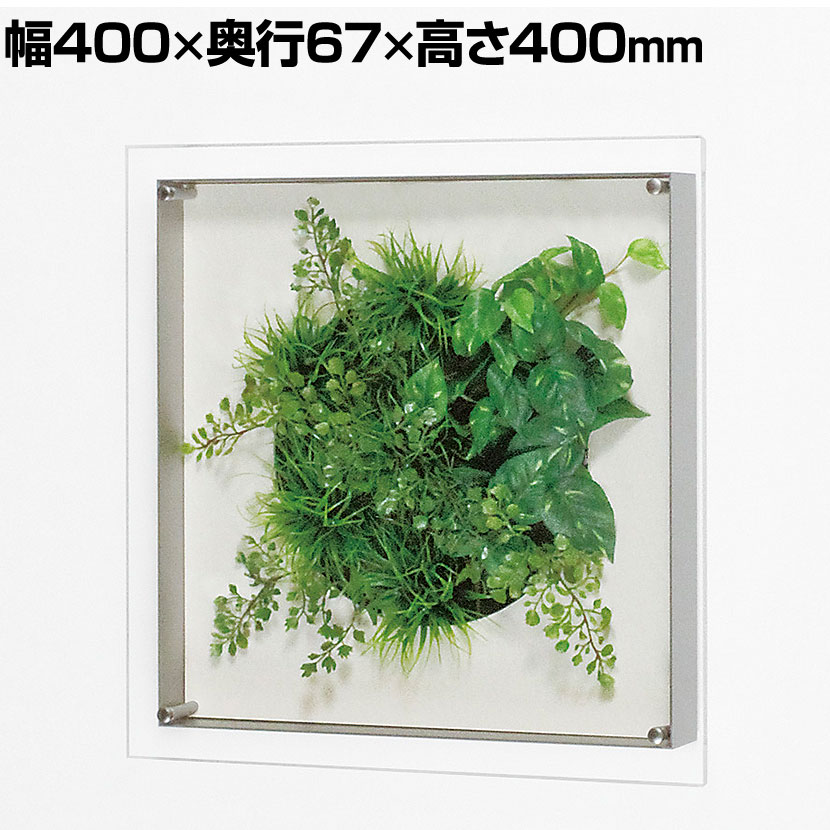 【楽天市場】ベルク ウォールグリーン アートグリーン フェイクグリーン 壁掛け 立体グリーン 人工 造花 GR3437 幅400×奥行67×高 ...