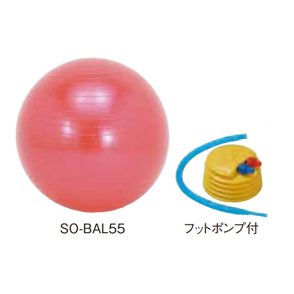 【楽天市場】ソフタッチ softouch エクササイズボール（カラーボックス） トレーニンググッズ SO-BAL55-RED(レッド)：オオミ ...