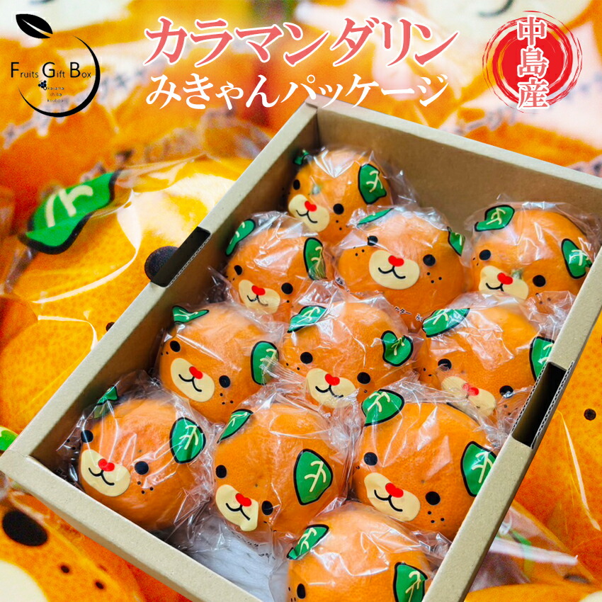 【楽天市場】みきゃん カラマンダリン 11玉前後 JAえひめ中央 中島産 愛媛県 父の日 贈答用 ギフト プレゼント 御礼 御祝 誕生日 ...