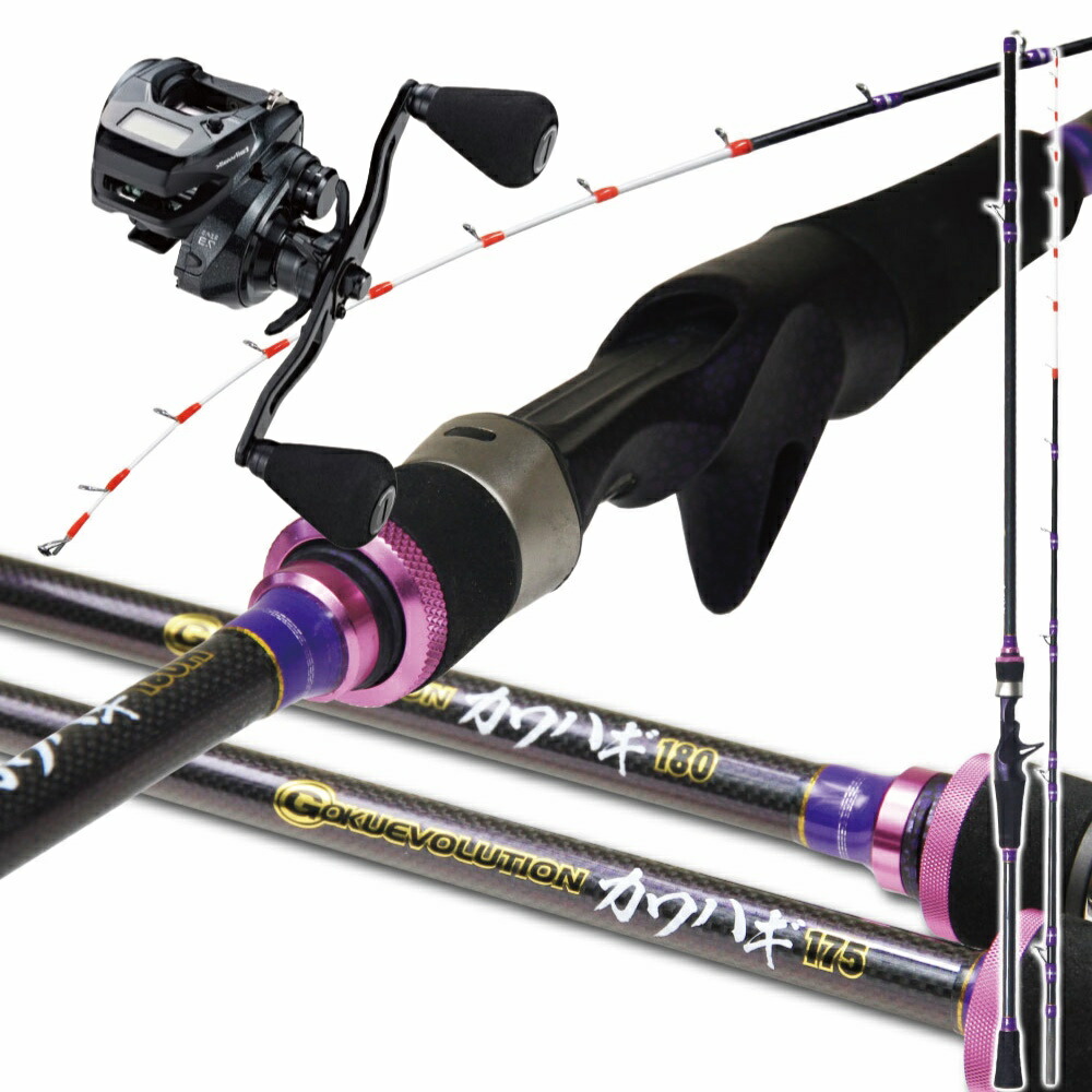 【楽天市場】ゴクエボリューション カワハギ180＆テイルウォーク VILAYER DG 100HG-DH/R 左巻き カワハギセット (ori ...