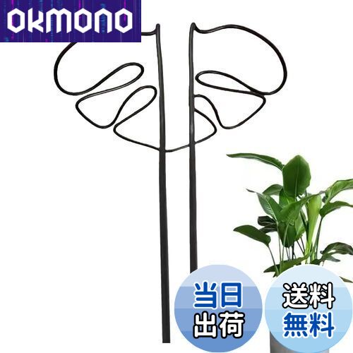 【楽天市場】GLOWZEN モンステラ 支柱 園芸支柱 観葉植物 植物サポート 花支架 ガーデニング支柱 モンステラフラワースタンド 農業用 ...