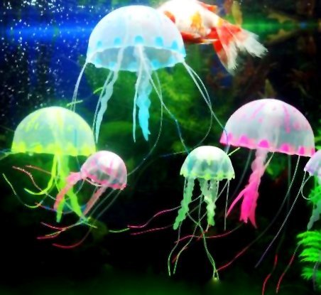 【楽天市場】まるで本物 アクアリウム用 人工くらげ【3匹セット】魚に無害のシリコン製：オクタラーズショップ