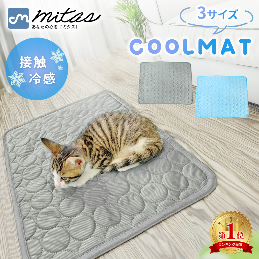 銀のスプーン お魚味クリーム どーにゃつ 2種アソート まぐろ＆かつお味(12袋入×6セット(1袋6g))【銀のスプーン おやつ】