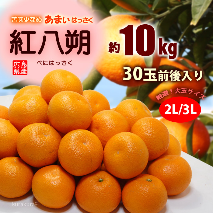【楽天市場】紅はっさく(2-3L/10kg)広島産 赤秀 八朔 はっさく 10kg 紅八朔 ハッサク 紅はっさく 紅ハッサク 瀬戸田 因島 柑橘 食品 フルーツ 果物 みかん はっさく 送料 ...
