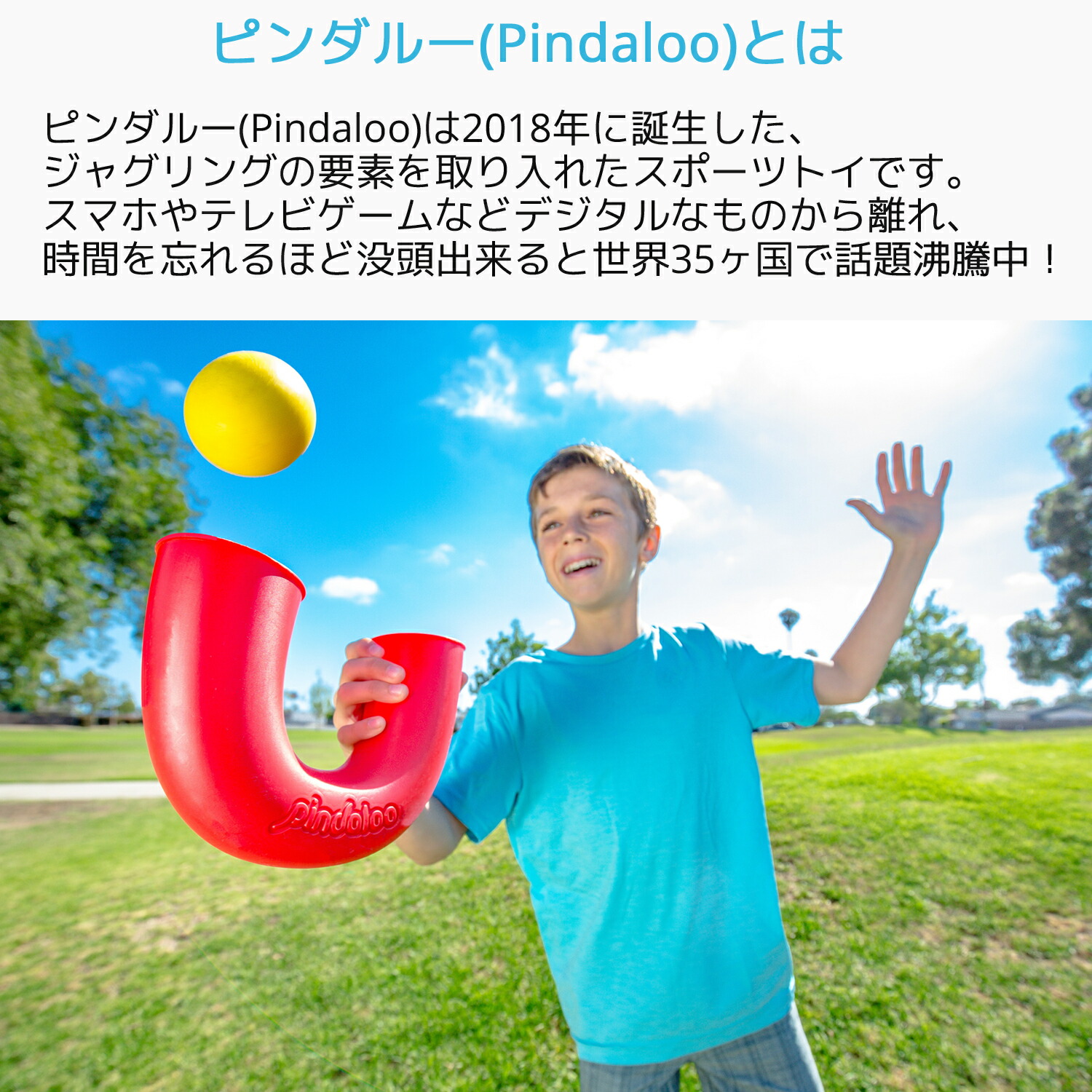 【楽天市場】Pindaloo ピンダルー 集中力アップ やみつきスポーツトイ 反射神経を鍛える ジャグリング けん玉 おもちゃ クリスマス誕生日 プレゼント 男 男の子 女の子 海外 人気 ...