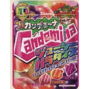 【楽天市場】大阪京菓 ZRxカンロ 72G カンデミーナグミジューシーパラダイス×144個【xw】【送料無料（沖縄は別途送料）】：大阪京菓楽天市場店