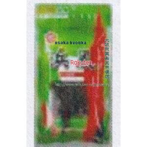 【楽天市場】大阪京菓 ZRx中野物産 22G おしゃぶり昆布浜風×20個【xeco】【エコ配 送料無料 （沖縄県配送不可 時間指定と夜間お届け不可）】：大阪京菓楽天市場店