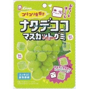 【楽天市場】大阪京菓 ZRxライオン菓子 40G ナタデココマスカットグミ×240個【xe】【送料無料（沖縄は別途送料）】：大阪京菓楽天市場店