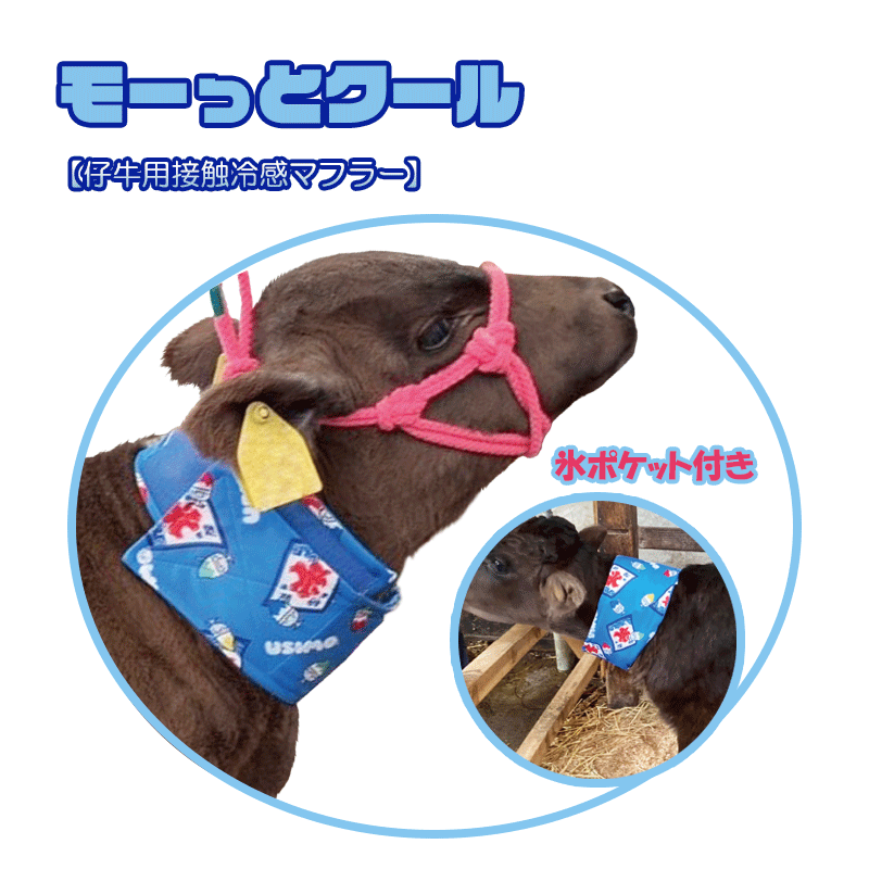 【楽天市場】牛や馬の熱中症予防 USIMO モーっとクール 親牛 仔牛用 馬用 触感冷感マフラー 出荷牛 ネッククーラー クールネック 馬術 家畜 牛 ペット 熱中症 暑さ 対策 クールバンド ...