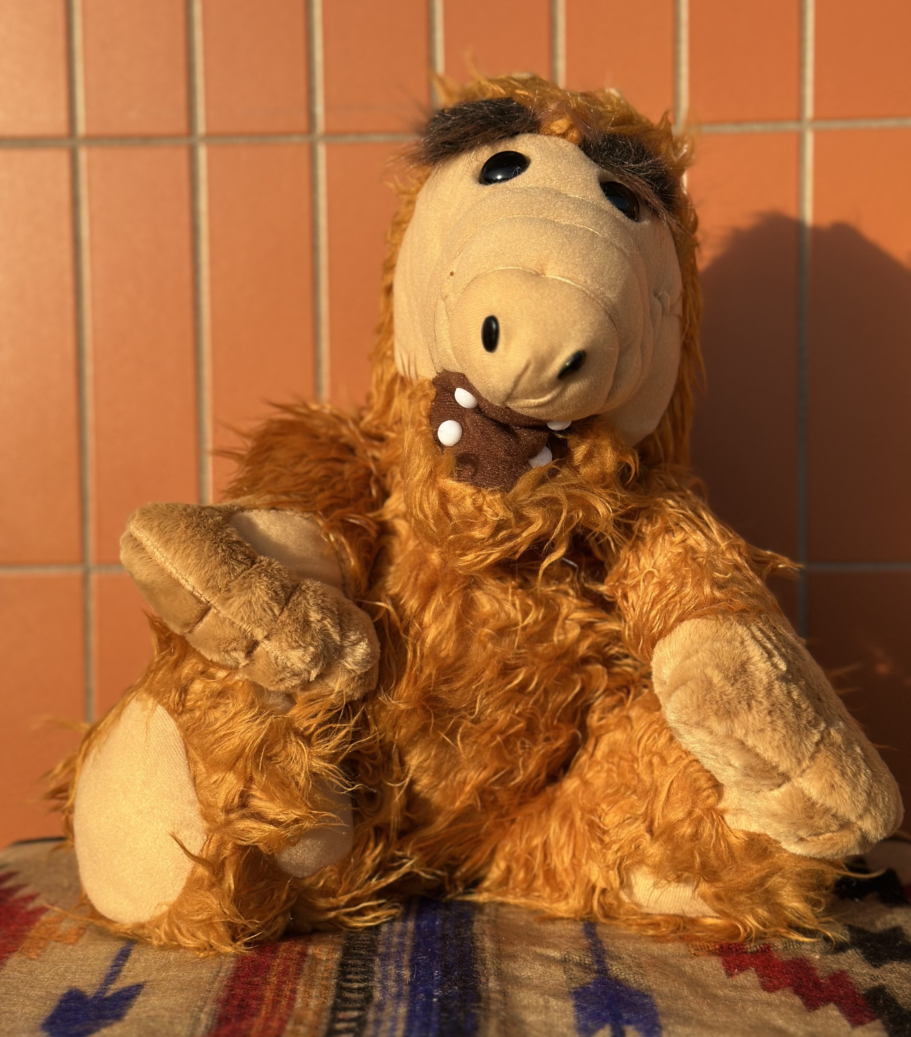 【楽天市場】【 アルフ ・ ビッグサイズ 】 ALF plush ( BIG ) プラッシュ：OutSide Box Furniture
