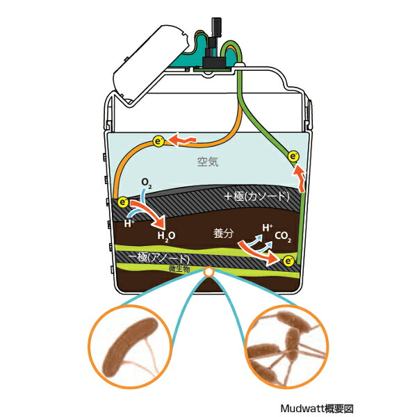 【楽天市場】Mud Watt MFC Kit（微生物燃料電池実験キット）：オーバースペック屋