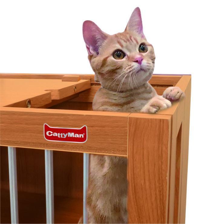 【楽天市場】送料無料(沖縄・北海道・離島を除く)☆ Catty Man インテリアキャットハウス：日用グッズ専門店kroeus