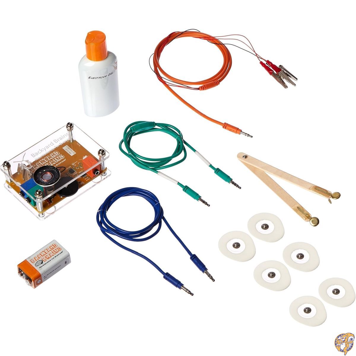 【楽天市場】【4/15限定!555円クーポン】Backyard Brains Muscle Spikerbox:神経科学 箱入り：パームスアメリカ