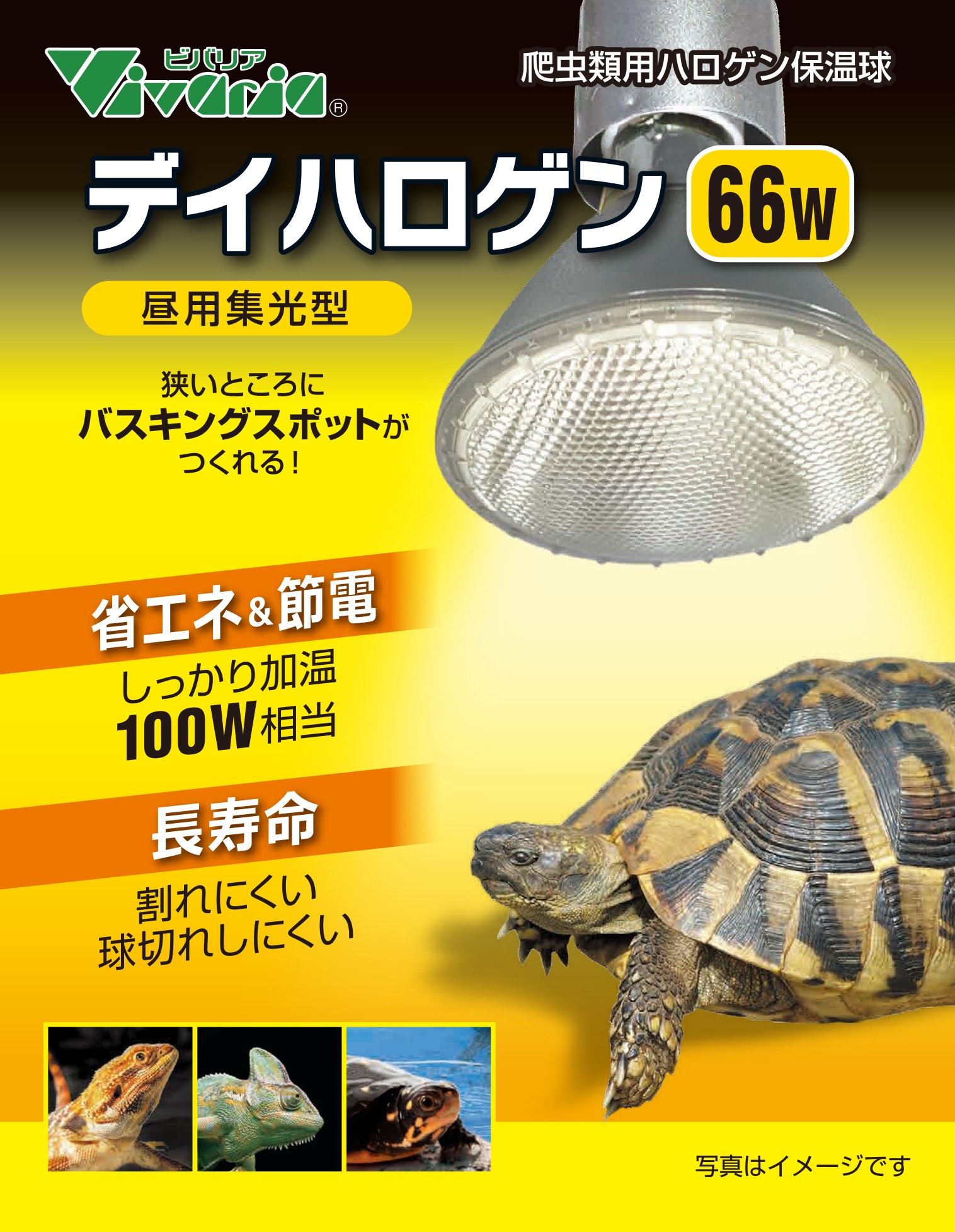 【楽天市場】 【ビバリア】デイハロゲン 66W RP-156 Vivaria【保温】：PALMY EXPRESS