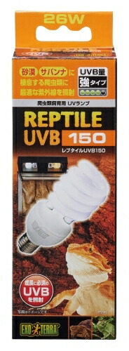 【楽天市場】 【エキゾテラ】レプタイルUVB150 26w EXOTERRA 【照明 紫外線 日光浴 GEX ジェックス】：PALMY EXPRESS