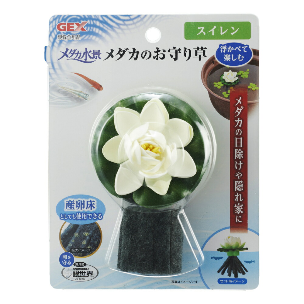 【楽天市場】 【GEX】メダカ水景 メダカのお守り草 ハス【ジェックス】：PALMY EXPRESS