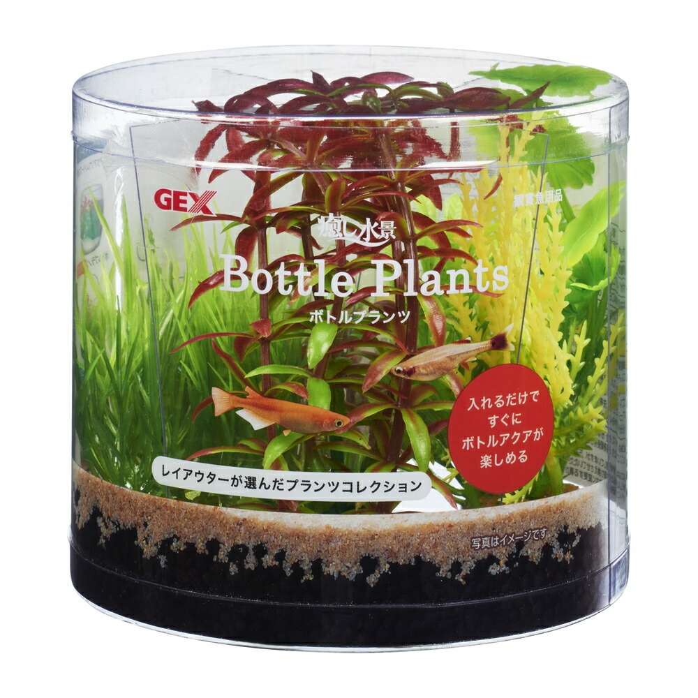 【楽天市場】 【GEX】癒し水景 ボトルプランツ ロタラ【ジェックス】：PALMY EXPRESS