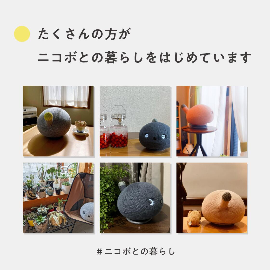 【公式店】パナソニック NICOBO（ニコボ） 思わず笑顔になるロボット 選べる3色 | Panasonic ロボット コミュニケーション ...