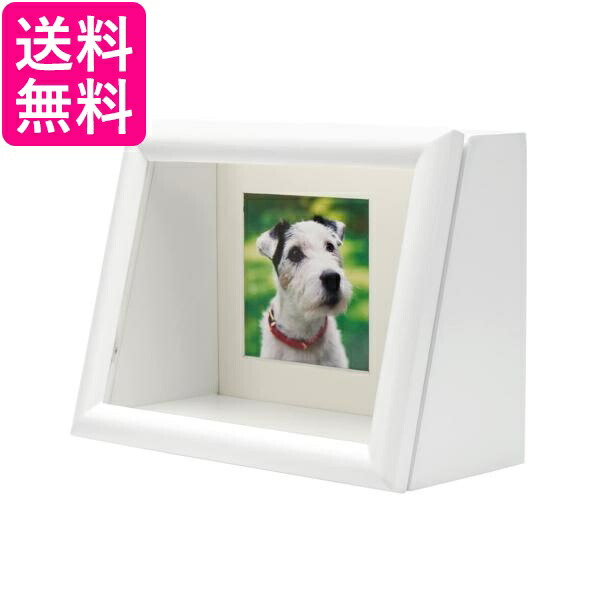 【楽天市場】Kenko ディスプレイBOX 2L ホワイト前面式 PS-MB-2L-WH 送料無料 【G】：Pay Off Store