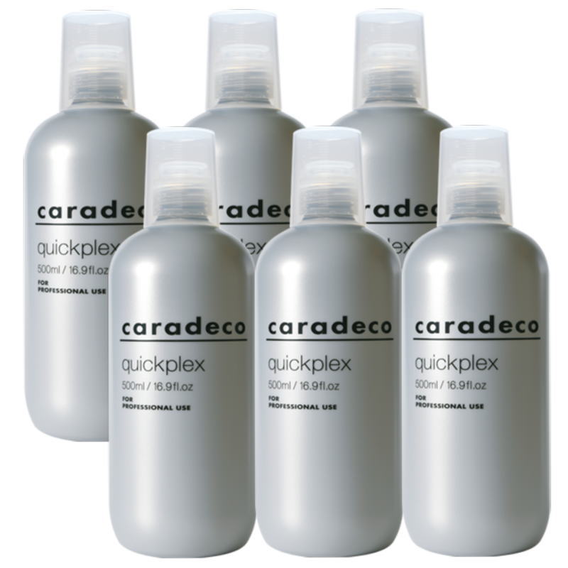 【楽天市場】ナカノ キャラデコ クイックプレックス 500ml【6点セット】：PECHKA