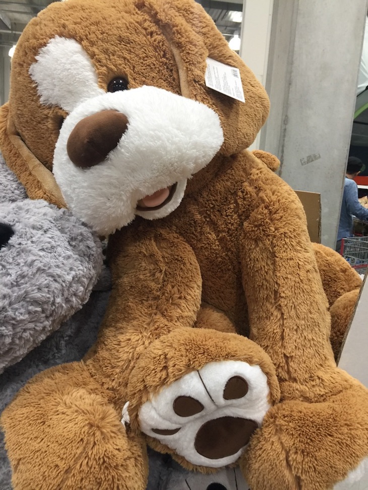 【楽天市場】【送料無料】【コストコ】【超BIGで可愛い!!】プラッシュパピー(PLUSH PUPPY) HUGFUN ハグファン【色：ブラウン ...