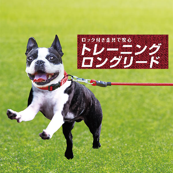 【楽天市場】ペティオ 犬用リード Porta ポルタ トレーニングロングリード 15m 短毛犬 長毛犬 中型犬用 犬具 丸紐 繊維 Petio 引き紐：Petio Online Shop 楽天市場店