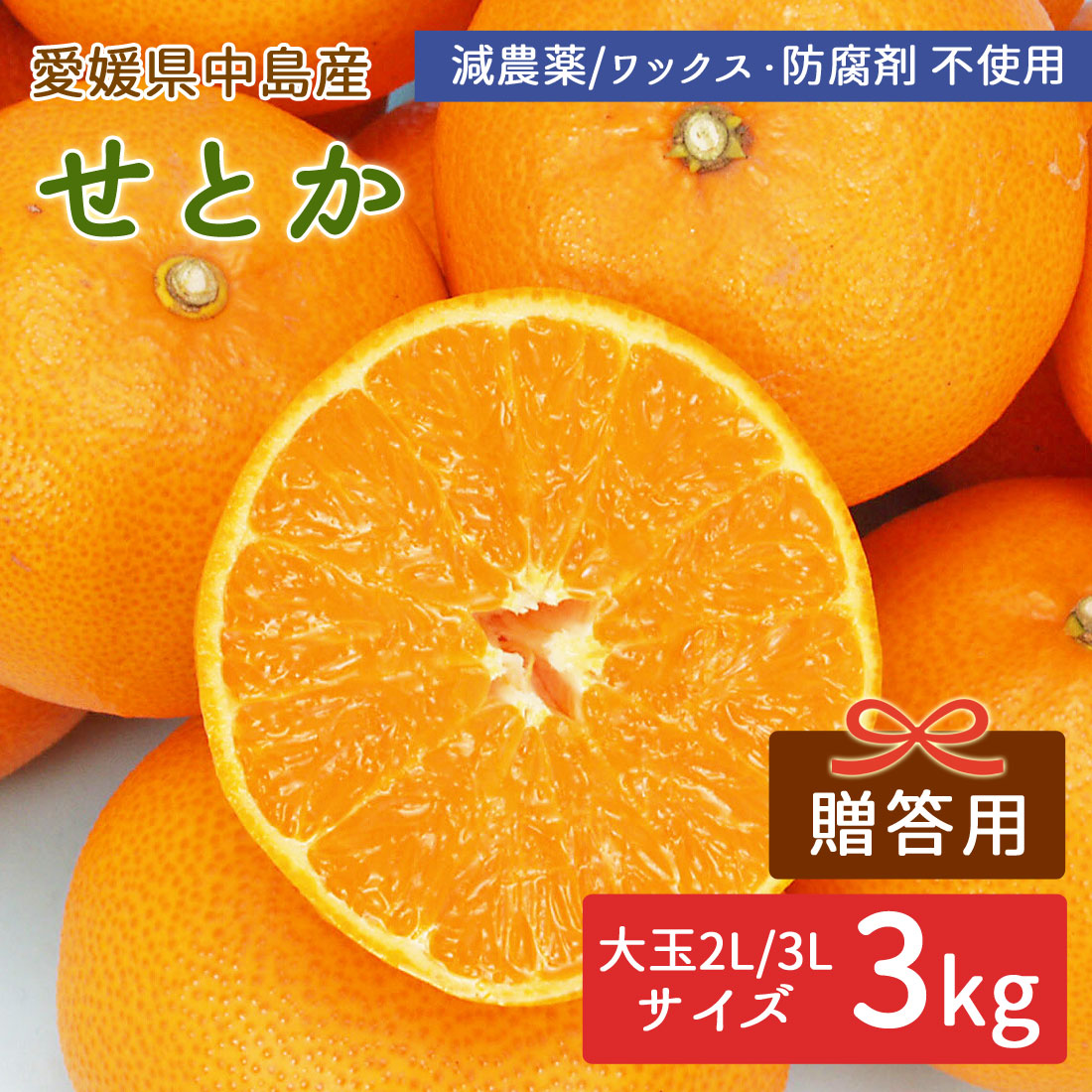 【楽天市場】中島産 みかん せとか 3kg 贈答用(赤秀) 特選品 大玉 2L/3Lサイズ 約10～12玉 中島せとか 減農薬 産地直送 島 ...