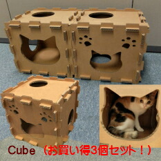 【楽天市場】【NecoDan Cube 3個セット/またたび付】ねこだん おもちゃ 遊具 猫 グッズ ペット 猫 キャット タワー ネコ キューブ トンネル ボックス BOX 家 ハウス 階段 ...