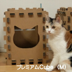 【楽天市場】【NecoDan プレミアムCube M/またたび付】ねこだん 猫用品 おもちゃ 遊具 猫 グッズ ペット 猫 キャット タワー ネコ キューブ トンネル ボックス BOX 家 ...