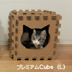 【楽天市場】【NecoDan プレミアムCube L/またたび付】ねこだん 猫用品 おもちゃ 遊具 猫 グッズ ペット 猫 キャット タワー ネコ キューブ トンネル ボックス BOX 家 ...