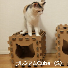【楽天市場】【NecoDan プレミアムCube S/またたび付】ねこだん おもちゃ 遊具 猫 グッズ ペット 猫 キャット タワー ネコ キューブ トンネル ボックス BOX 家 ハウス ...