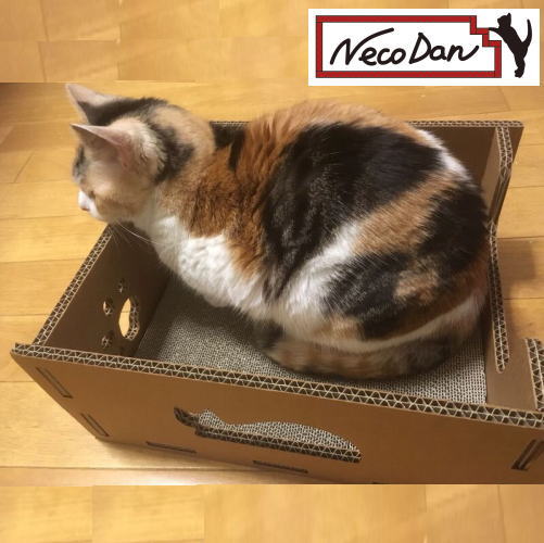【楽天市場】猫用 爪とぎ【NecoDan ガリガリBox/またたび付き】ねこだん 猫グッズ ぺット 遊具 猫用品 ベッド ダンボール 段ボール 強化段ボール キャット 爪研ぎ ガリガリ ...
