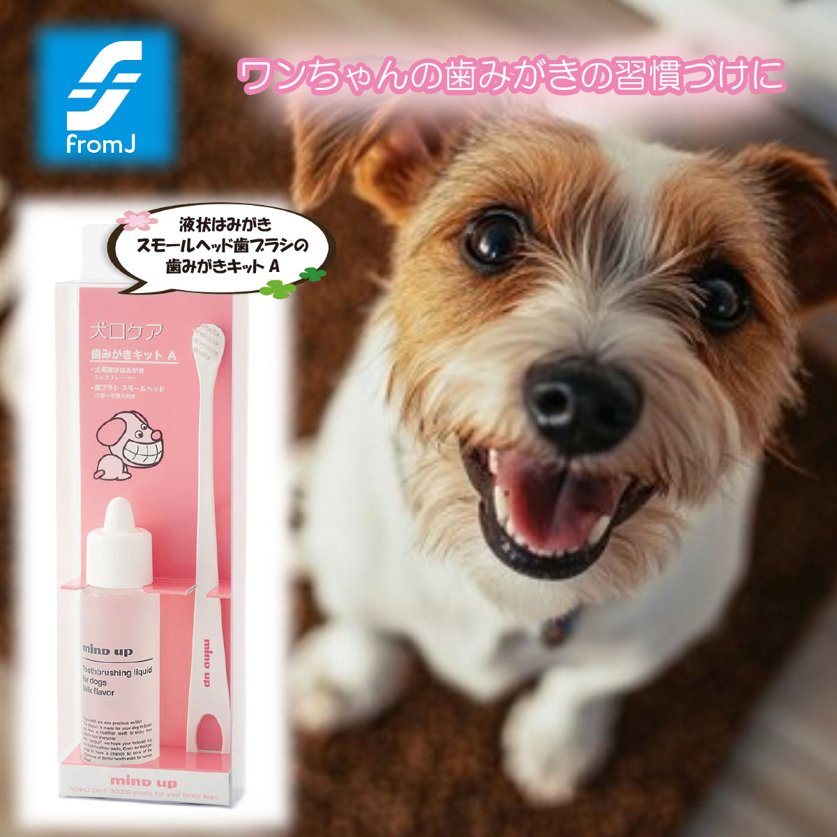 【楽天市場】犬口ケア 歯みがきキットA ペット用品 ワンちゃん 動物 歯磨き 歯石除去 歯垢除去 大型 中型 小型 プロ仕様 デンタル 小型犬 ...