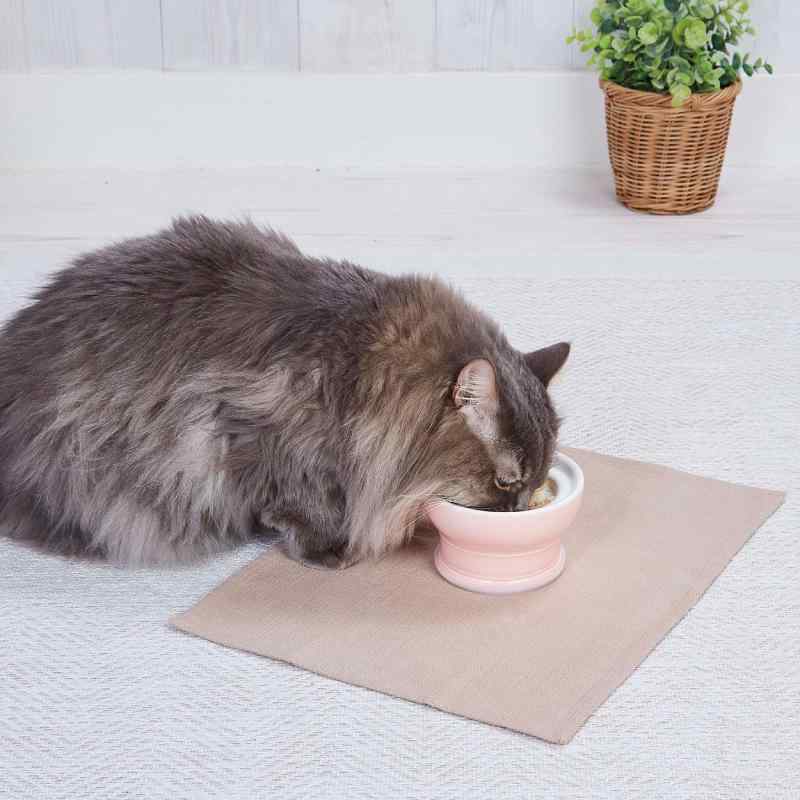 【楽天市場】ペティオ (Petio) 猫用食器 necoco 愛猫が食べやすい 脚付き食器 ウェットフード向き：ぴっぴストア 楽天市場店