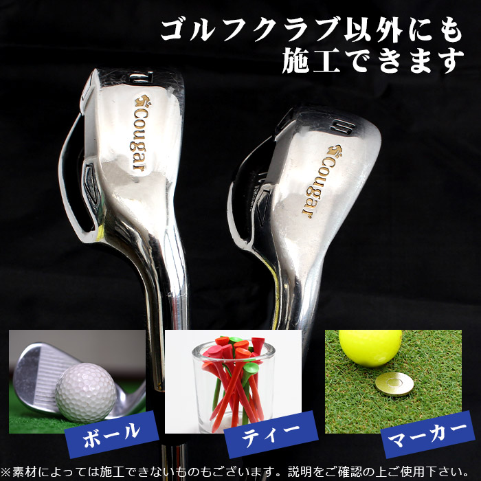 【楽天市場】【10%OFFクーポン配布】ゴルフ クラブ ゴルフ用品 メンテナンス お手入れ GOLF SHIELD 艶プラス 本体200ml ...