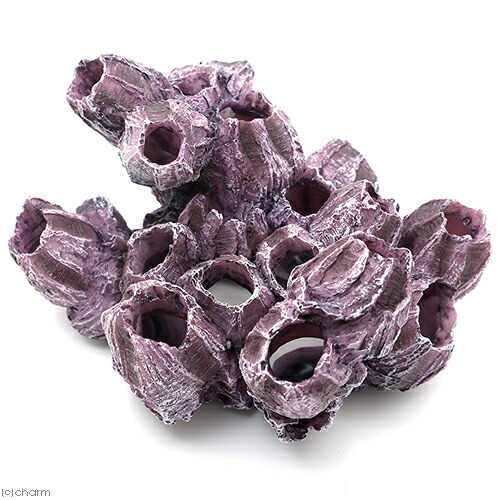 【楽天市場】ゼンスイ ZEST レプリカサンゴ M−5 パープルホワイト：plantstech楽天市場店