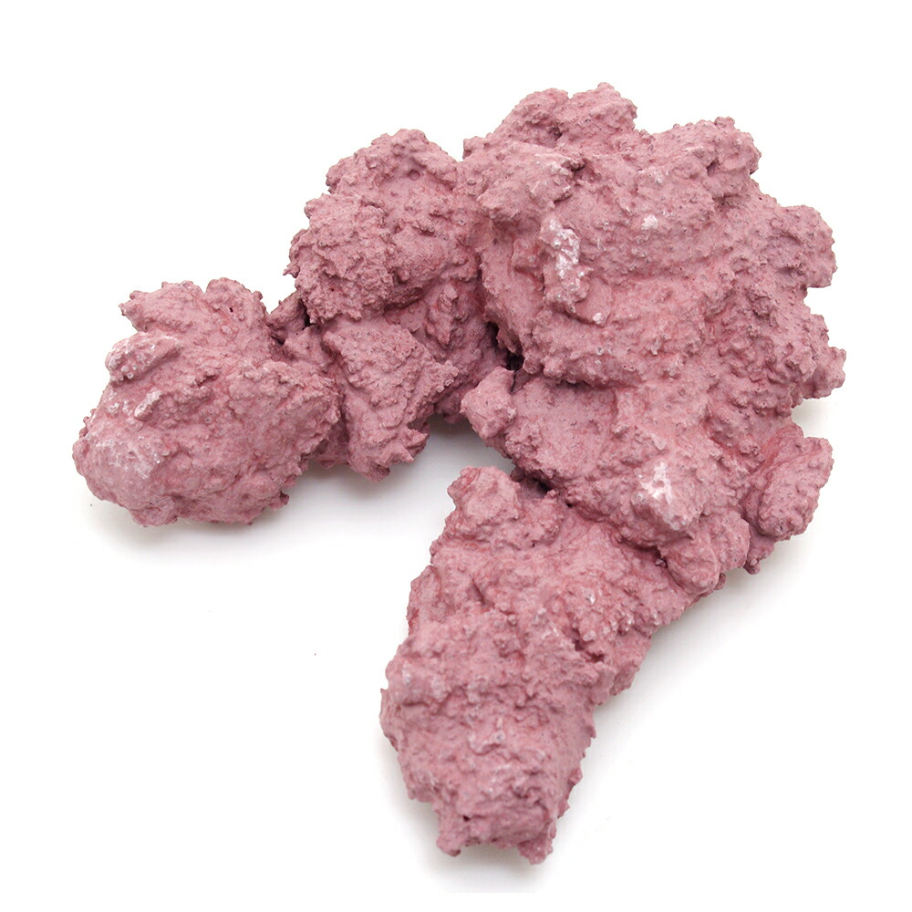 【楽天市場】マメデザイン マメライブロック・ミニ ライブロックレプリカ サンゴ フラグ：plantstech楽天市場店