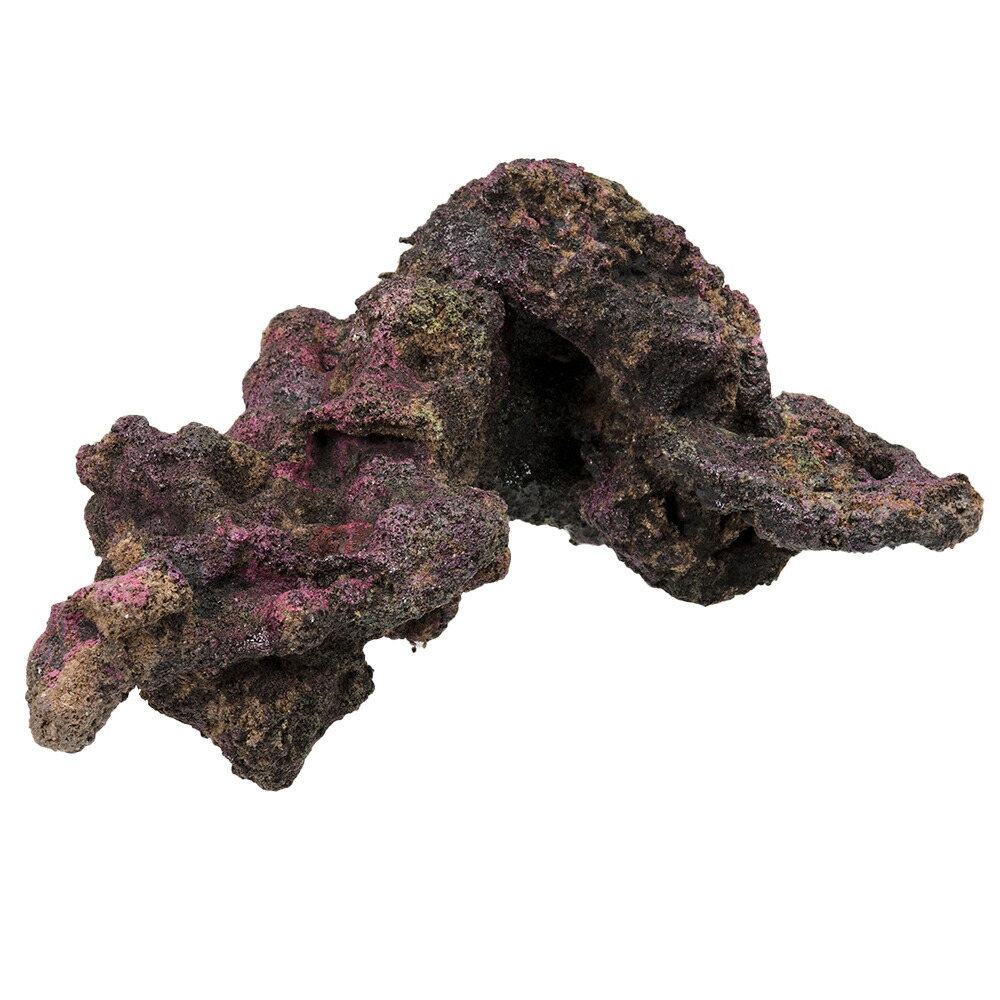 【楽天市場】ORCA OCEAN ROCK ♯4 26×22×9cm ライブロックレプリカ：plantstech楽天市場店