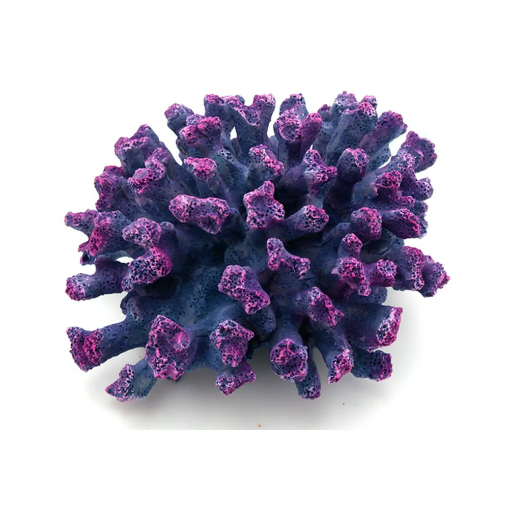 【楽天市場】ゼンスイ ZEST レプリカサンゴ M−1：plantstech楽天市場店