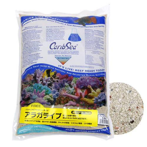 【楽天市場】カミハタ カリブシー アラガライブ フィジーピンク ライブサンド 10lbs（約4．5kg）：plantstech楽天市場店