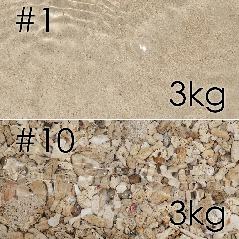 【楽天市場】メーカー直送 60日熟成 ライブ コーラルサンド＃1（3kg）＋コーラルグラベル＃10（3kg）セット 同梱不可 送料無料：plantstech楽天市場店