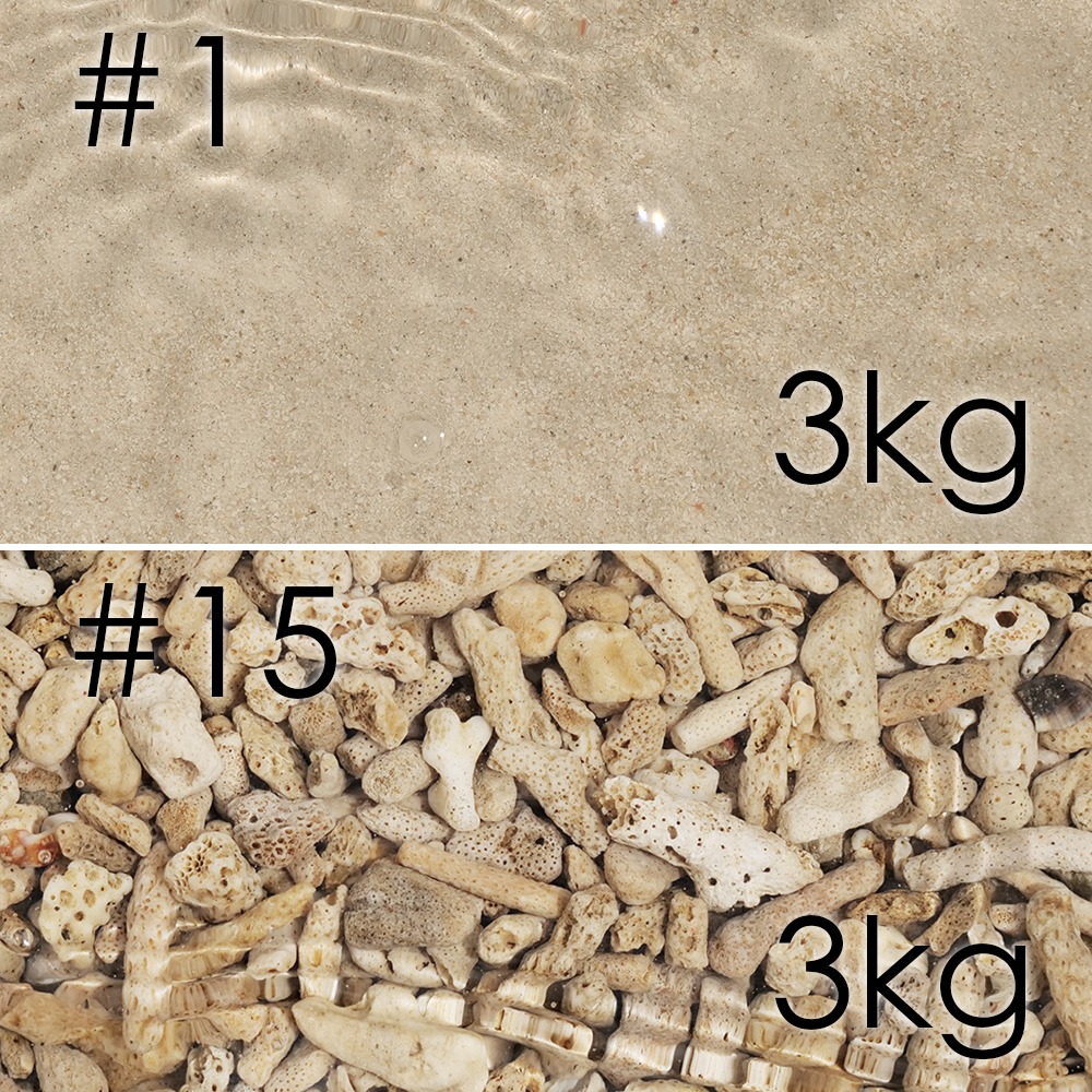 【楽天市場】メーカー直送 60日熟成 ライブ コーラルサンド＃1（3kg）＋コーラルグラベル＃15（3kg）セット 同梱不可 送料無料：plantstech楽天市場店
