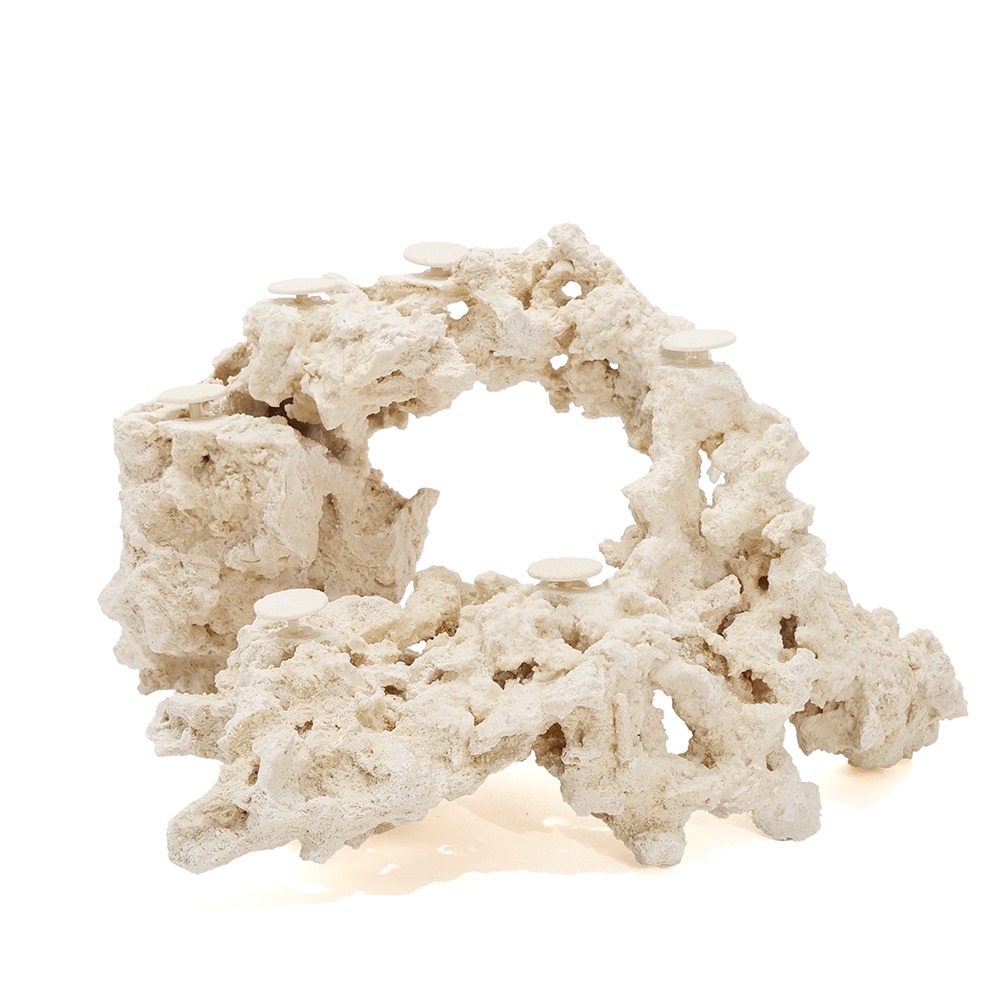 【楽天市場】一点物 マルコロック カスタムフラグベース 542201 コーラルロック 海水水槽用 水槽用石 デスロック 化石サンゴ ...