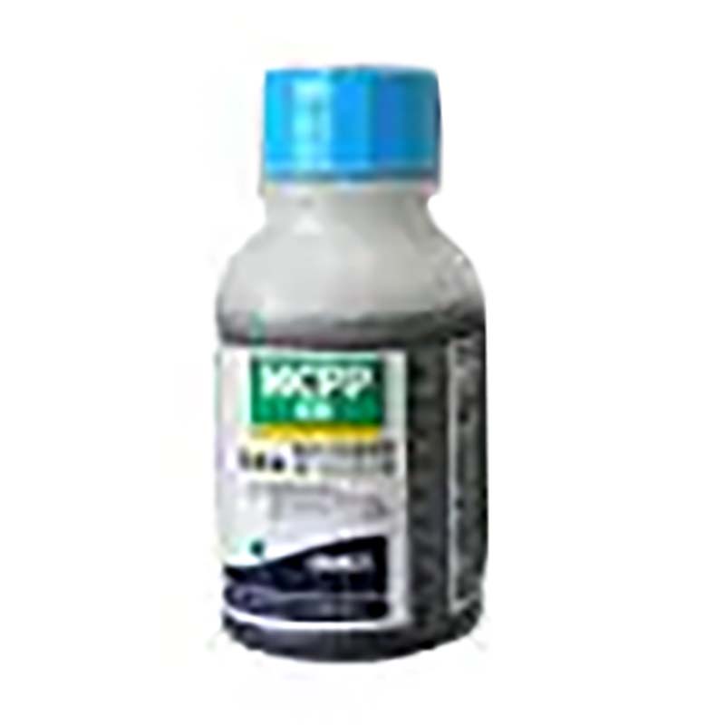 【楽天市場】60本 芝生用除草剤 MCPP液剤 100ml スギナ クローバー 雑草 の除草に 芝生 西洋芝 日本芝 丸和バイオケミカル 冨YD：農業用品販売のプラスワイズ