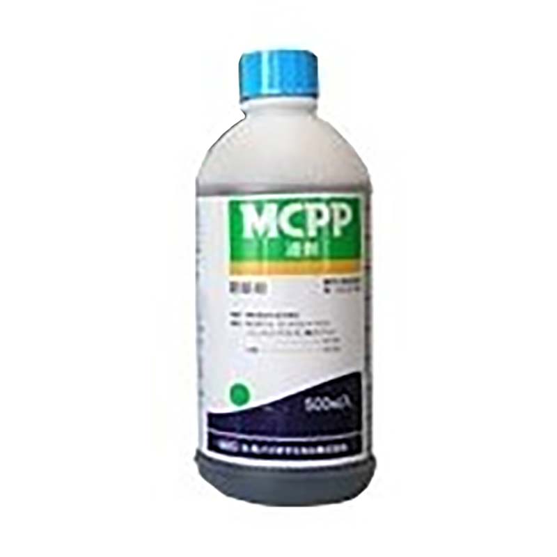 【楽天市場】芝生用除草剤 MCPP液剤 500ml スギナ クローバー 雑草 の除草に 芝生 西洋芝 日本芝 丸和バイオケミカル 冨YD：農業用品販売のプラスワイズ