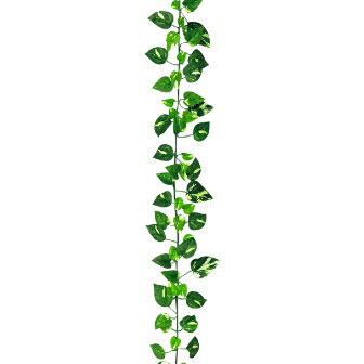 【楽天市場】ニューポトスガーランド 年間デコレーション Green ガーランド TI8-0202 布、PE L180cm：ポップギャラリー 楽天市場店