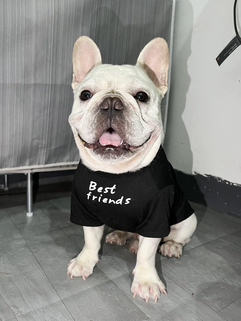 【楽天市場】RIOSTUDIO 犬服 春 夏 (S～XXLまで5サイズ展開) 犬の服 夏用 Tシャツ シンプル 涼しい 通気 おしゃれな英文字プリント わんこ服 小型犬 中型犬 大型犬 猫服 ...