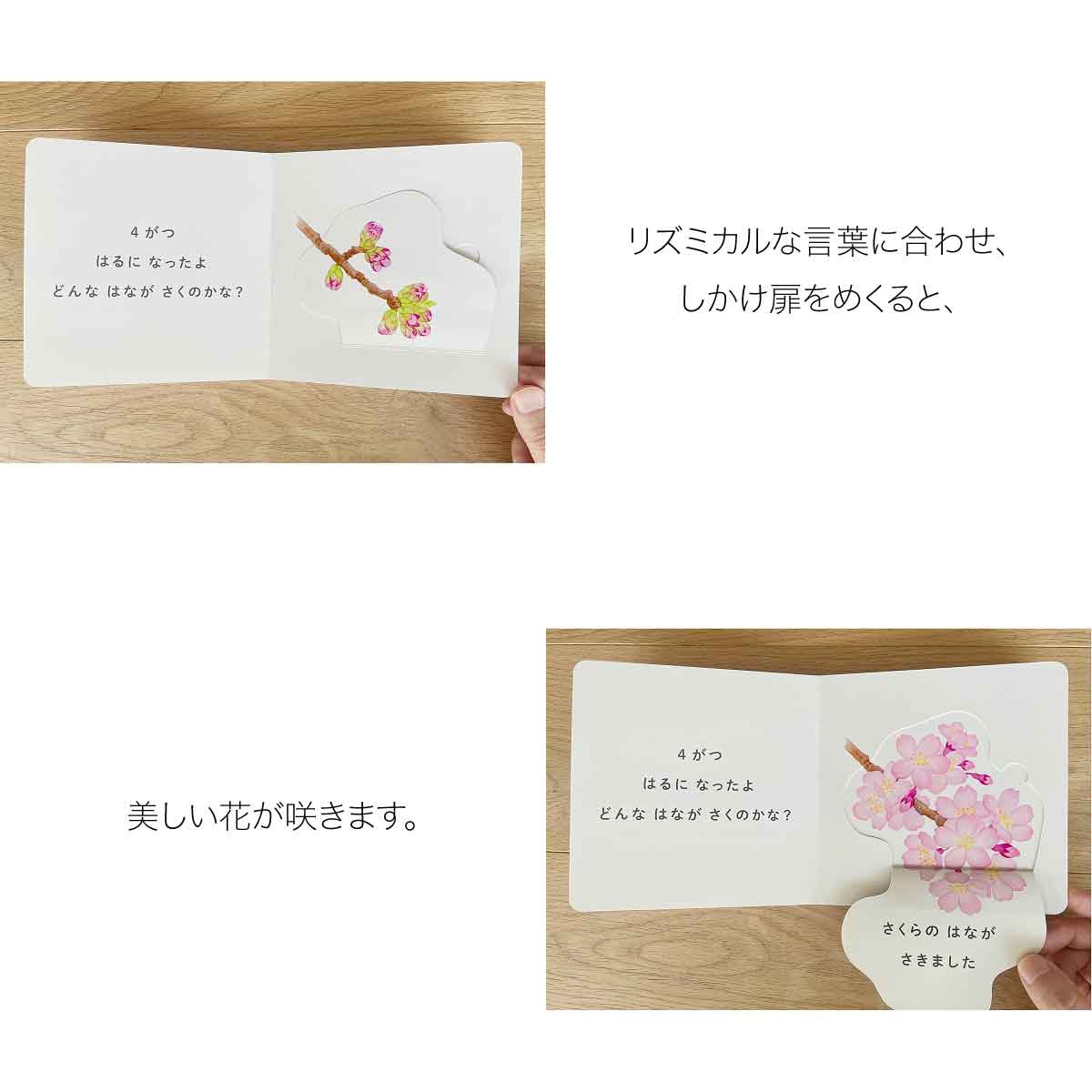 【楽天市場】[コクヨ] どんなはながさく？ 1歳児～ しかけえほん KE-WC76 絵本 乳児 幼児 えほん お花：プリントドッグ